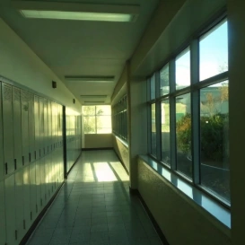 Level 82: Paradise That No One Sees | Schoolrooms Wiki | Fandom