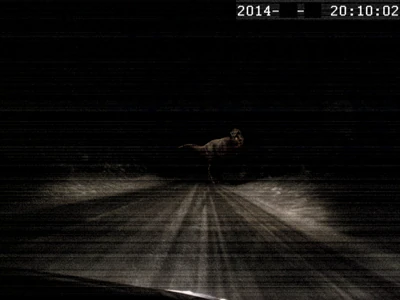 SCP-903-TH | The SCP Articles Wiki | Fandom