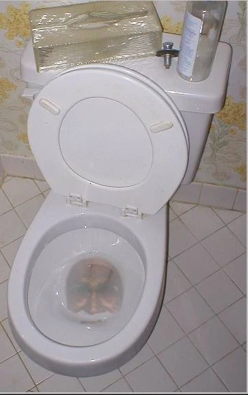 SCP-789-J | The SCP Articles Wiki | Fandom