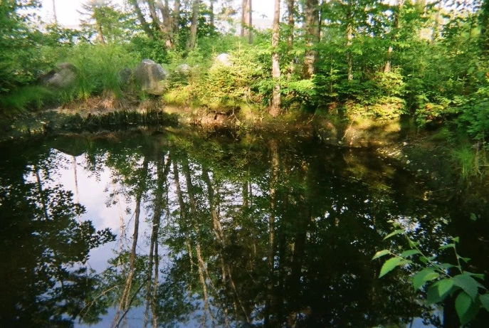 Frog Island Pit | The Secret of Skinwalker Ranch Wiki | Fandom
