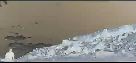 Episode 46: Holy Cow! | The Secret of Skinwalker Ranch Wiki | Fandom