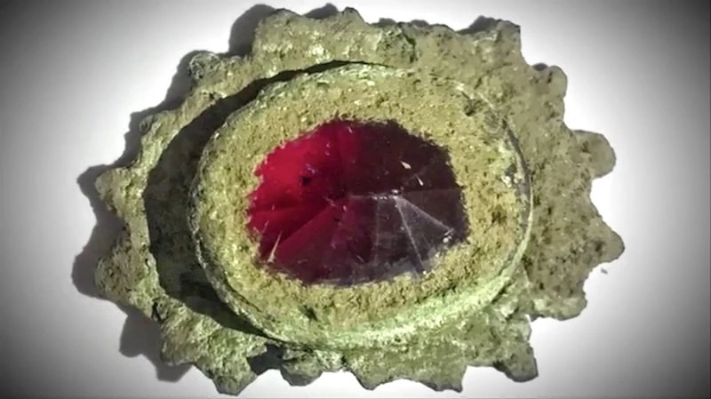 The Brooch | The Secret of Skinwalker Ranch Wiki | Fandom