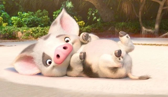 Pua | The secret world of the animated characters Wiki | Fandom