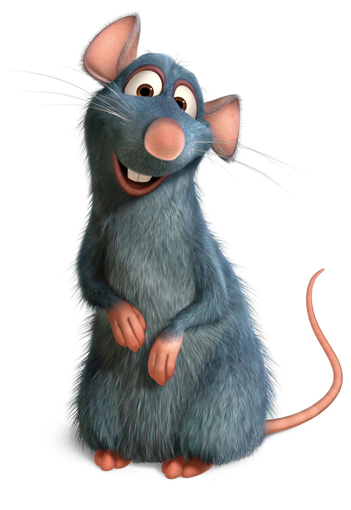 Remy | The secret world of the animated characters Wiki | Fandom