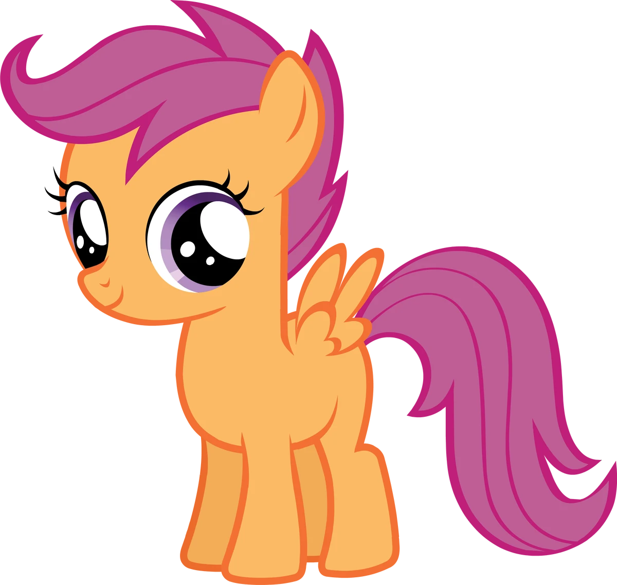 Scootaloo | The secret world of the animated characters Wiki | Fandom