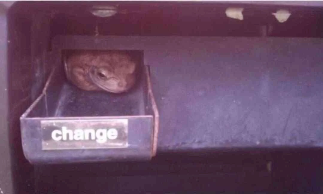 Entity 13 | The S.E.E. Foundation Wiki | Fandom