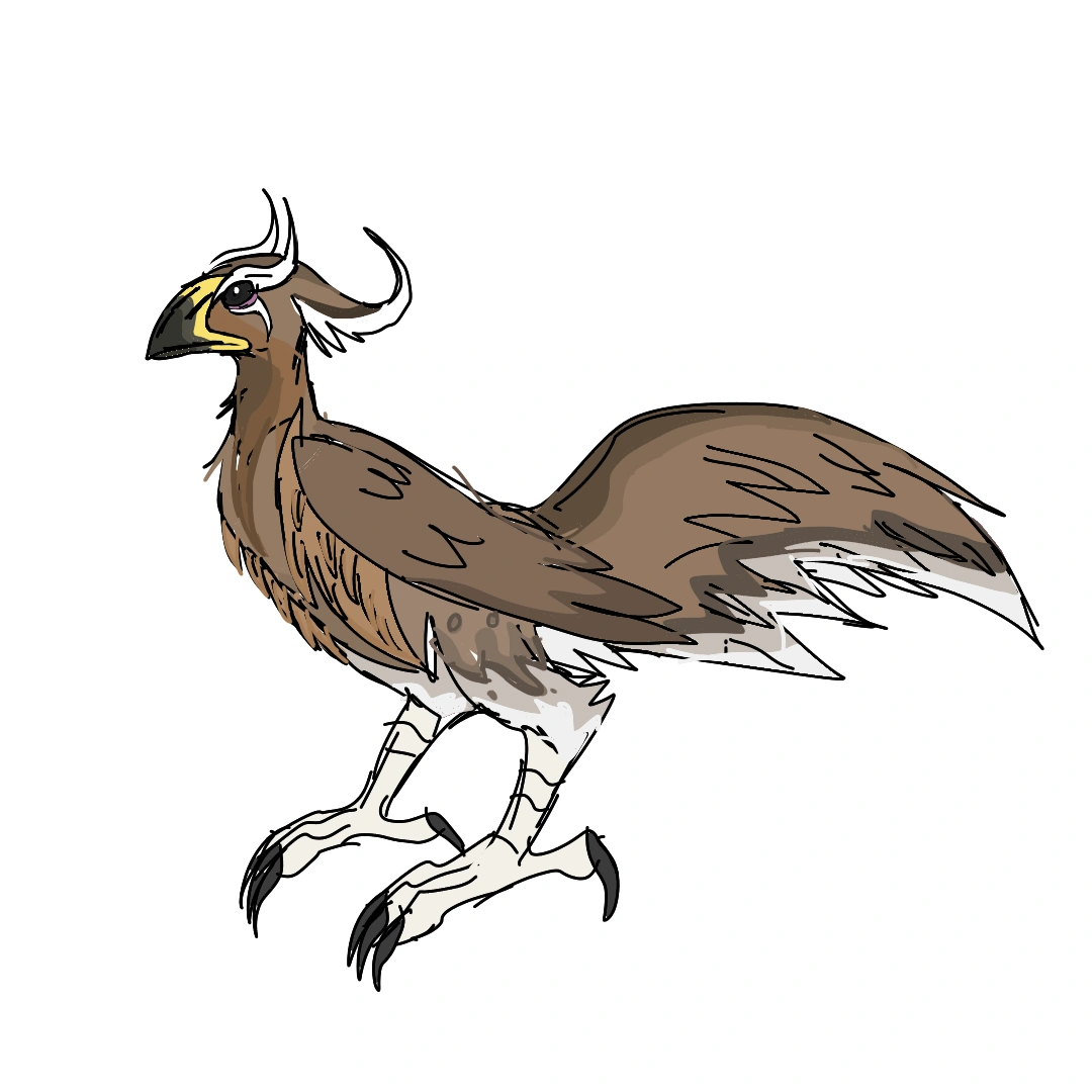 Woodland shawk | The shallocks Wiki | Fandom