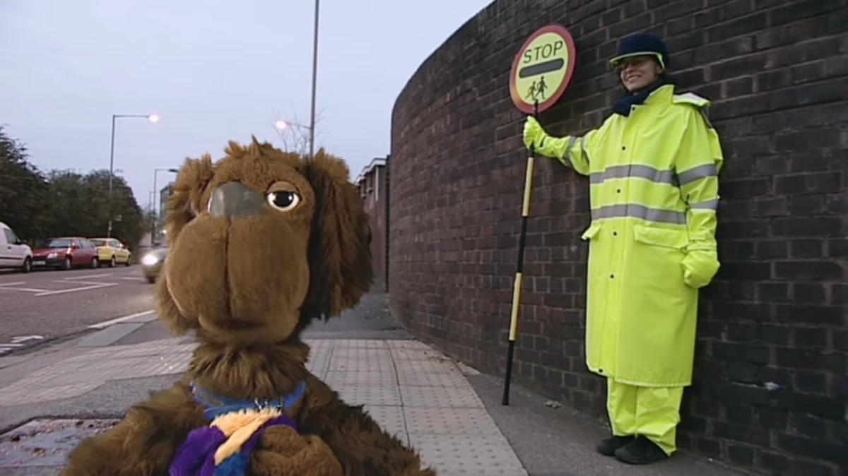 Traffic Awareness | The Shiny Show Wiki | Fandom
