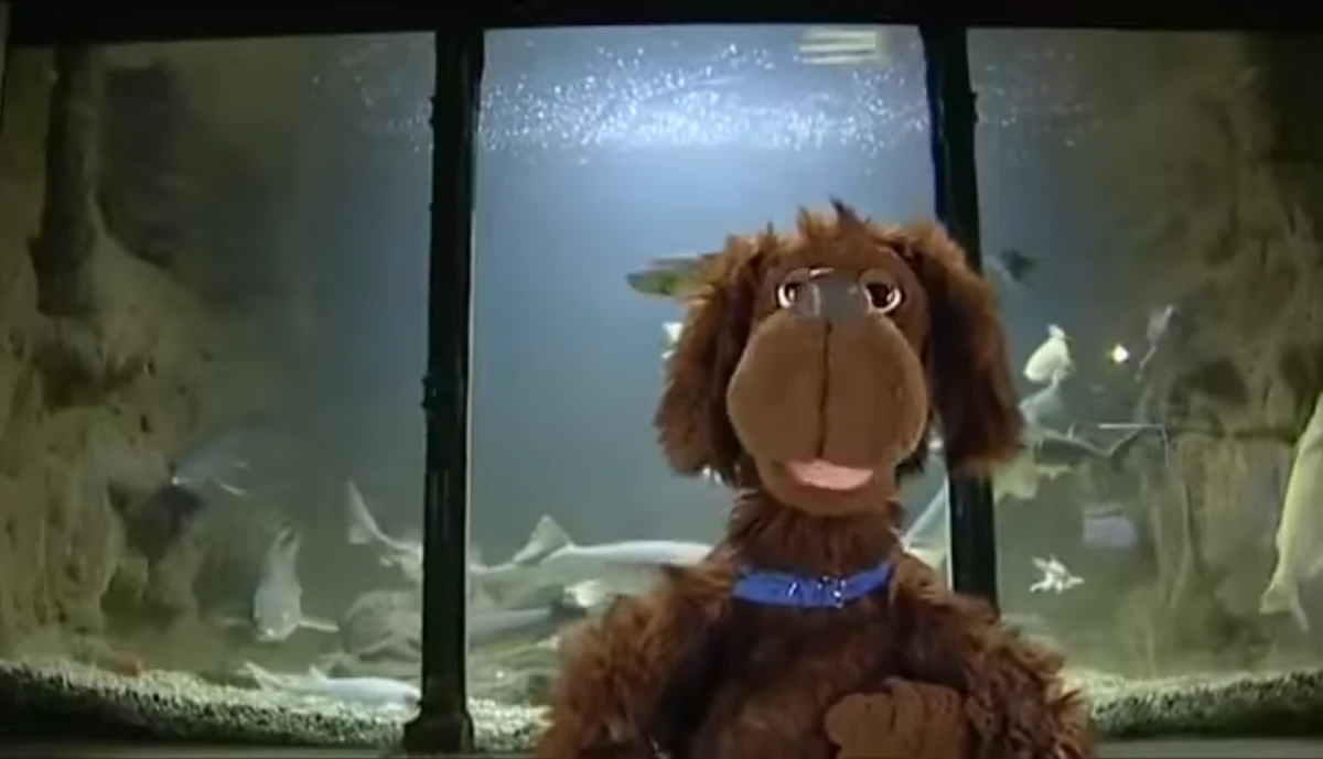 Sea Life | The Shiny Show Wiki | Fandom