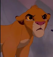 Simba | The Sidaba Bunch Wiki | Fandom