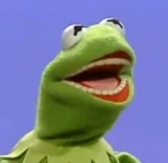 Kermit the Frog | The Sidaba Bunch Wiki | Fandom