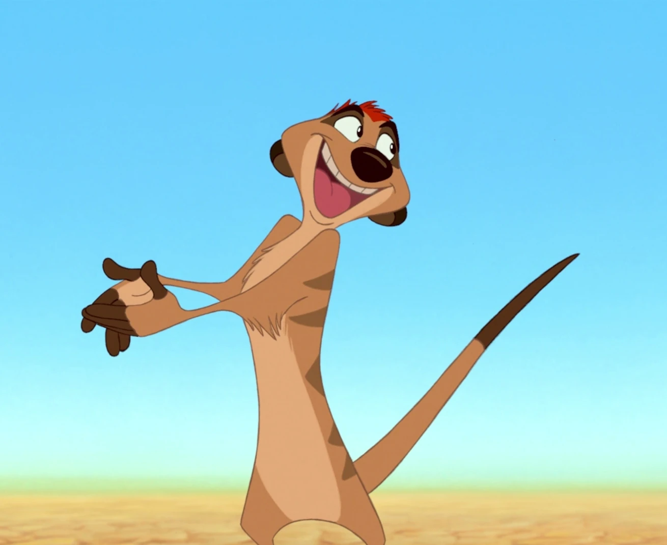 Timon Hakuna Matata