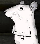 Rat (HBO Animals) | The Sidaba Bunch Wiki | Fandom