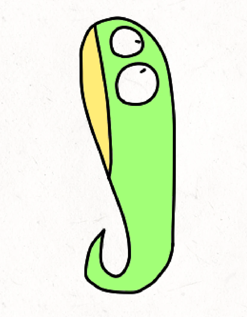 Silly Snake and Friends | The Sillers Fanon Wiki | Fandom