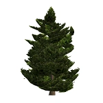 Trees | The Sims 2 Object Database Wikia | Fandom