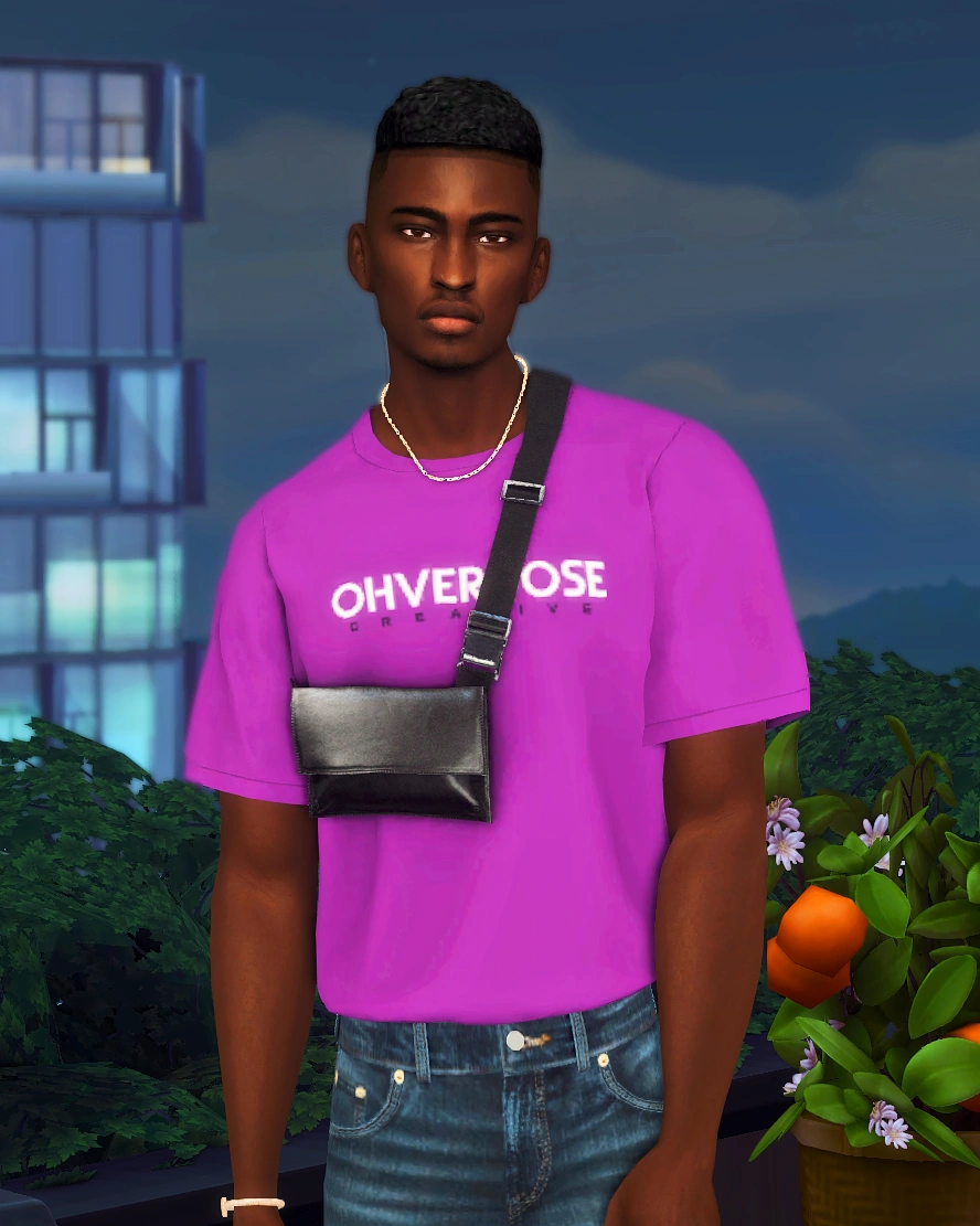 Jake Emem | The Sims Challenge Wiki | Fandom