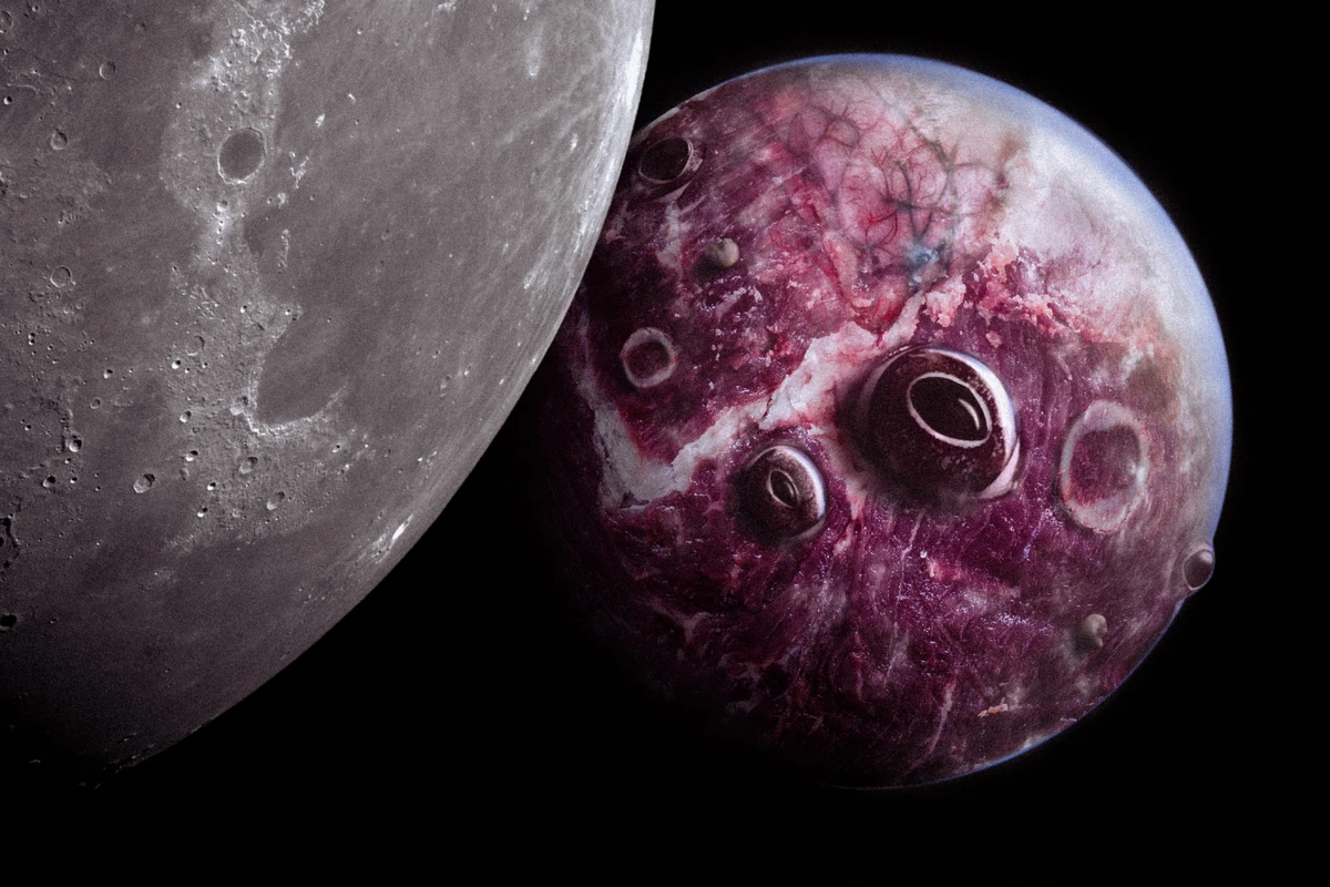 Scryulibus | The Singularity Wiki | Fandom