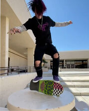 Christopher Hiett | The Skater Wiki | Fandom