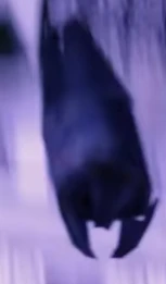 Parasite chamber | The Skibidi Wars Wiki | Fandom