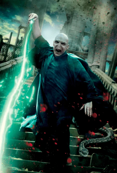 Lord Voldemort | The Slimey Cauldron Wiki | Fandom