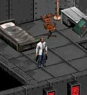 FEV Curling-13 | The Soda Place Wiki | Fandom