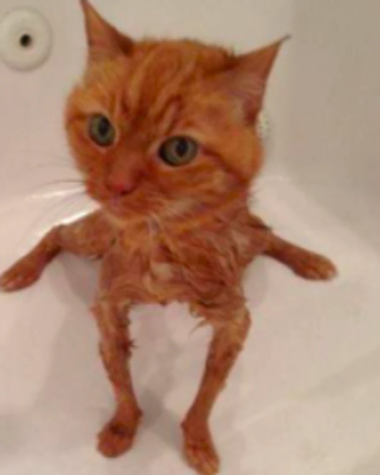 Emre | The Sogopedia Wiki | Fandom