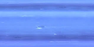 Map of Neptune | The Solar System Today Wiki | Fandom