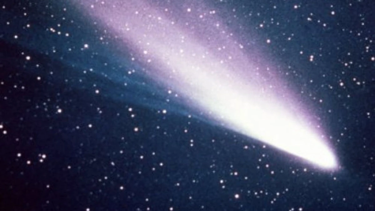 Comets | The Solar System Wiki (Planetapedia) Wiki | Fandom