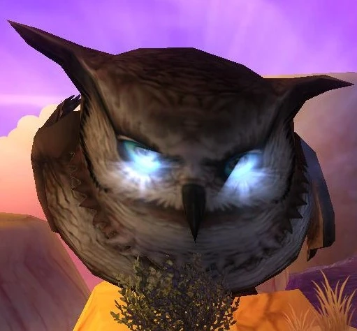 Brother Owl | Wiki101 | Fandom