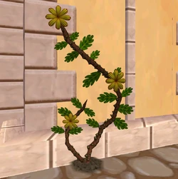 Wallflower | Wiki101 | Fandom