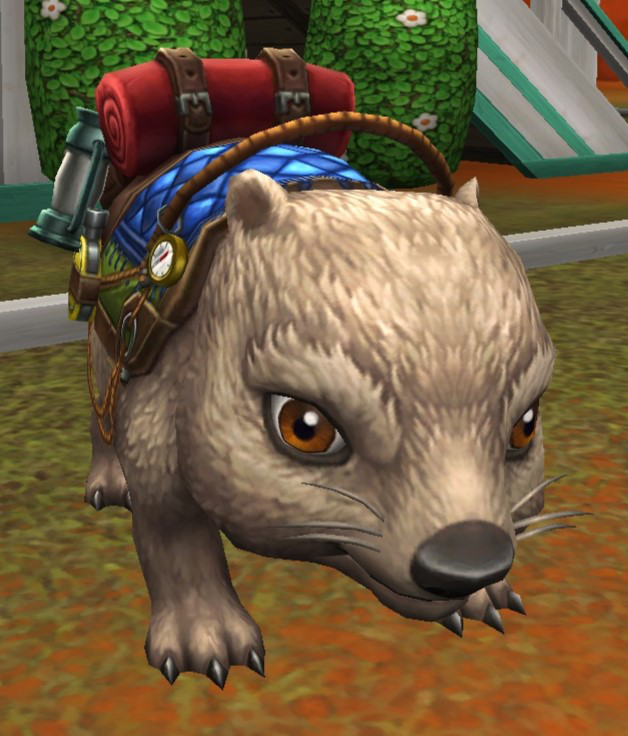 Wombat | Wiki101 | Fandom