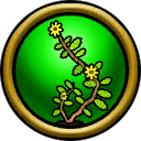 Wallflower | Wiki101 | Fandom