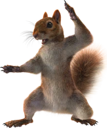 The Rodent | The Spongebob Movie:Sponge Out of Water Wikia | Fandom