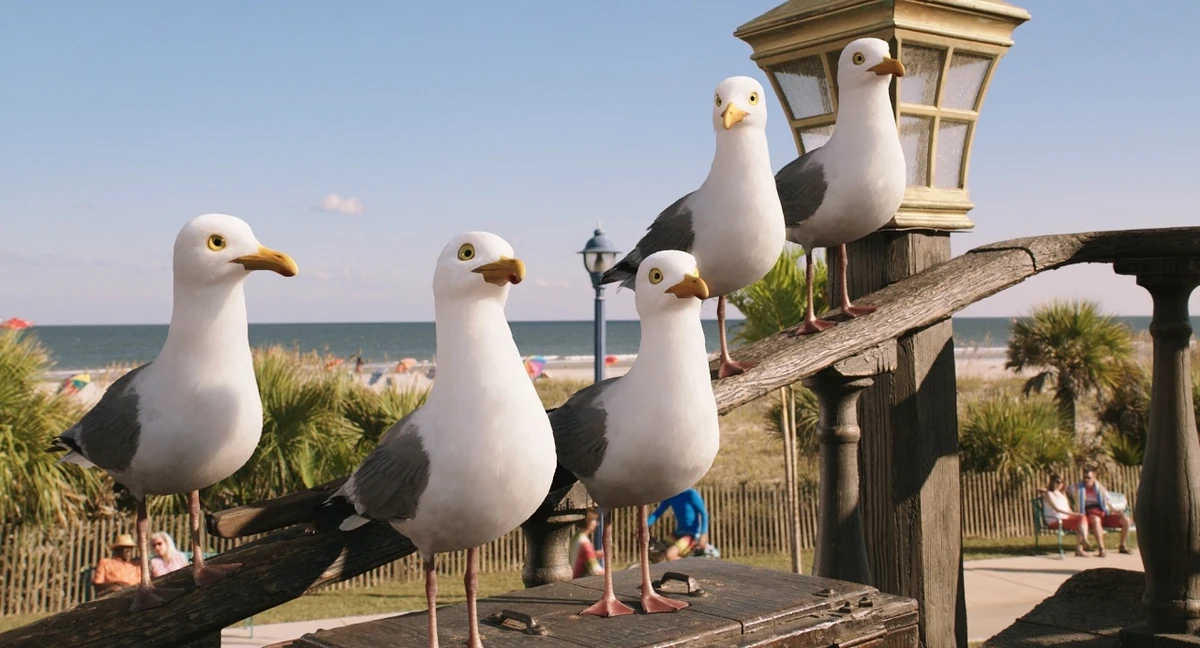 Seagulls | The Spongebob Movie:Sponge Out of Water Wikia | Fandom