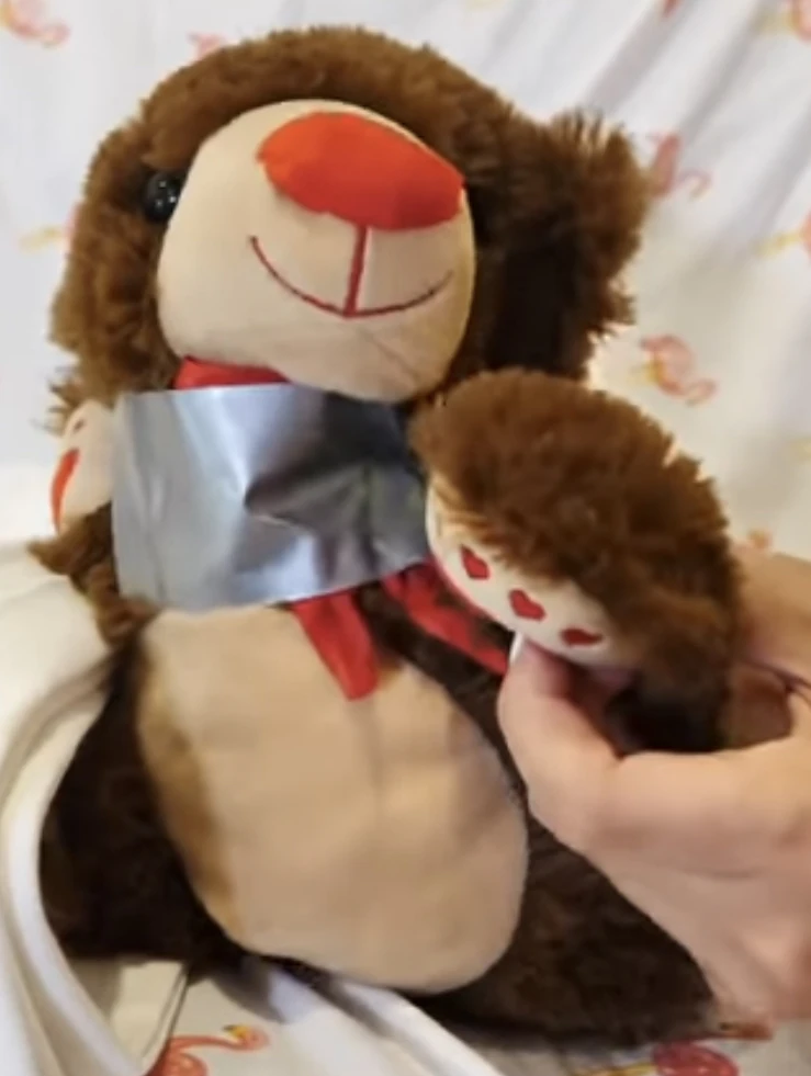 Mr. Bear | The Spy Ninjas Wiki! | Fandom