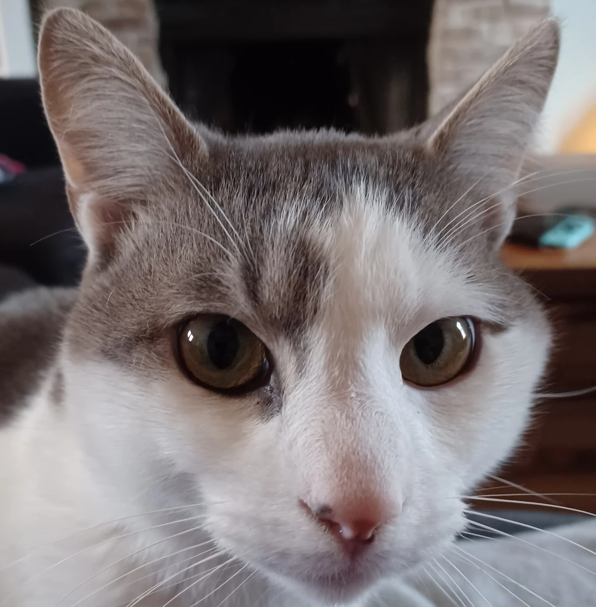 Mr. Casper Jones | The Squad FC Wiki | Fandom