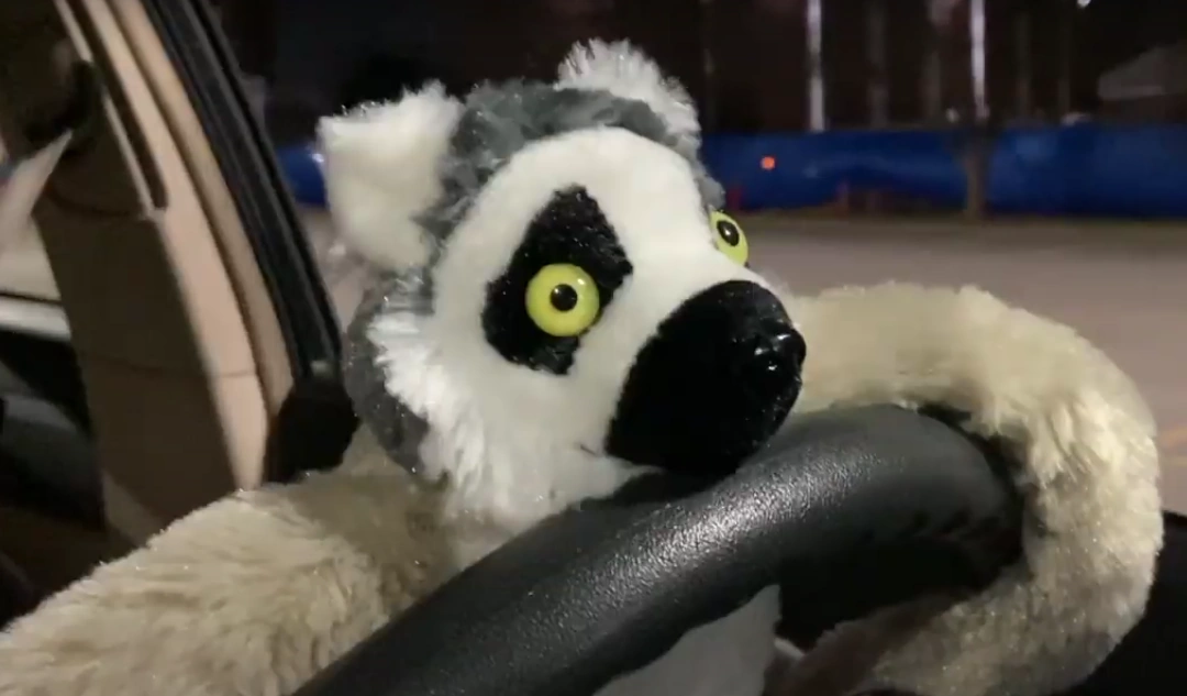 Raymond the Monkey | The Squeeze (Epic Series) Wiki | Fandom