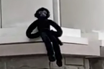 Kevin the Monkey | The Squeeze (Epic Series) Wiki | Fandom