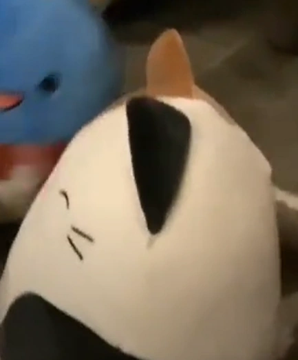 Cameron | The Squishmallow Adventures Wiki | Fandom