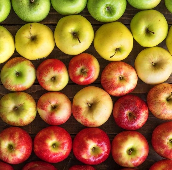 smol bean | The SS Wiki | Fandom