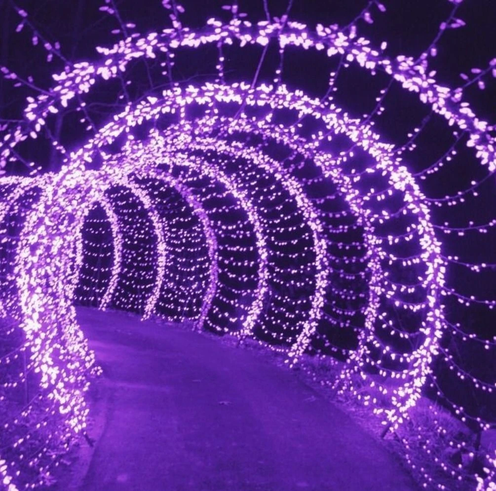 Pfp | The SS Wiki | Fandom