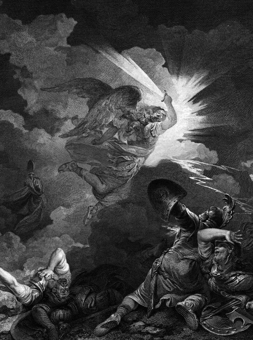 Destroying Angel | The Stars in Heaven Wiki | Fandom