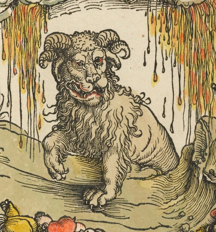 Divus | The Stars in Heaven Wiki | Fandom