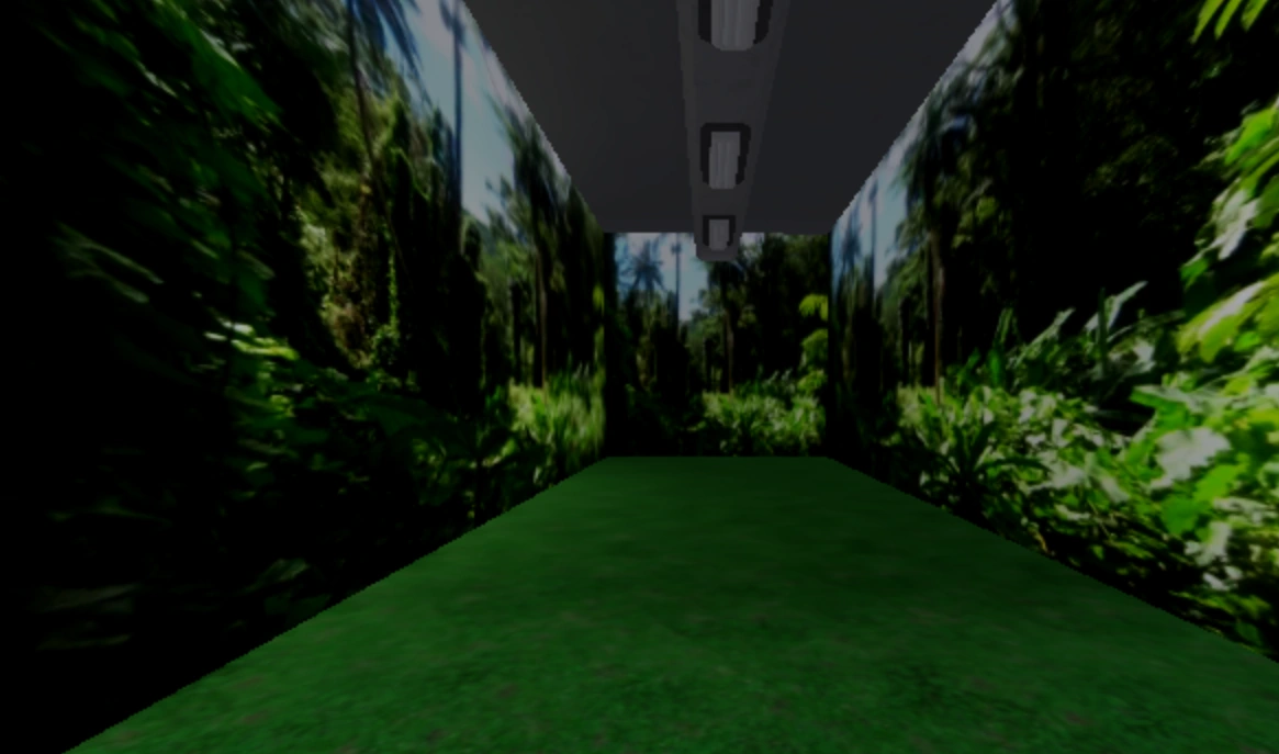 The Rainforest | The Storage Roblox Wiki | Fandom