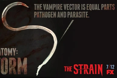 Die Strain Fx Vampire The Strain' Season 3 Trailer Has Arrived