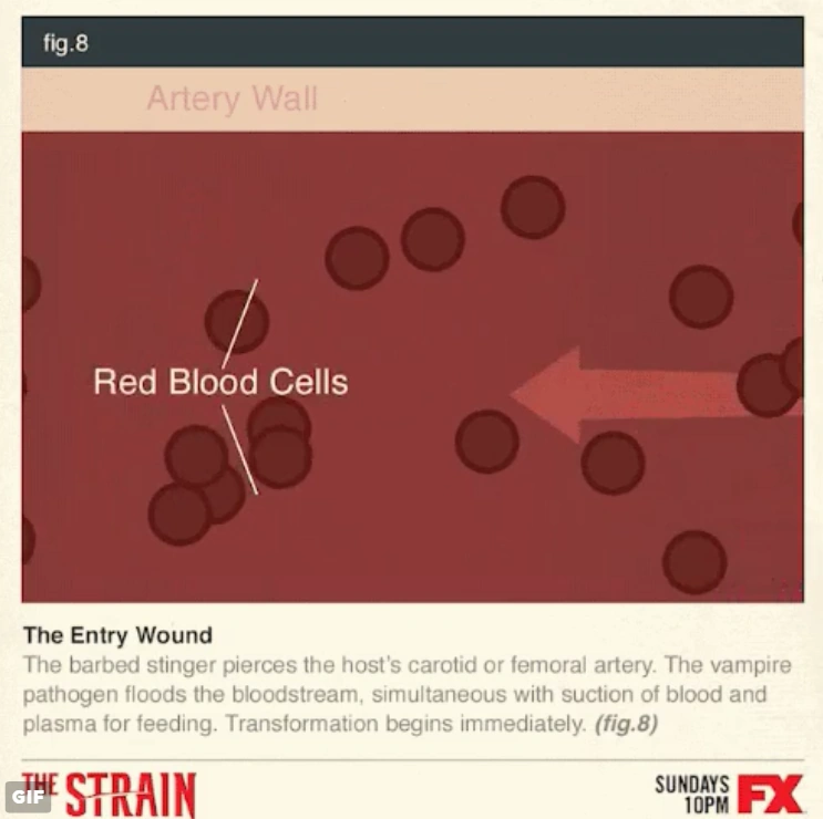 Vampire (Strigoi) | The Strain Wiki | Fandom