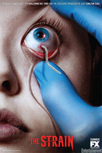 Season 1 | The Strain Wiki | Fandom