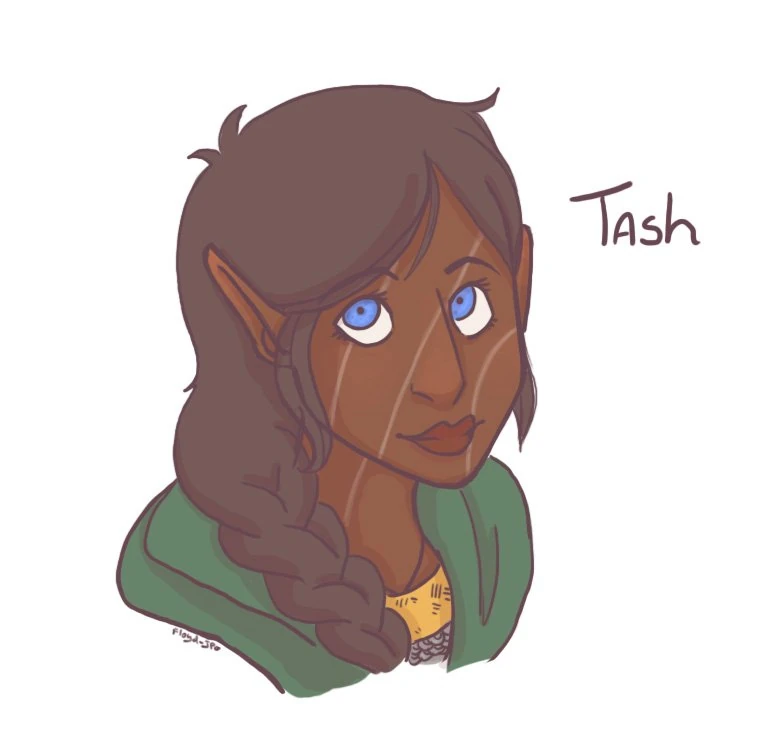 Tash | The Stranger Lands Wiki | Fandom