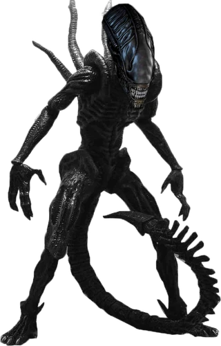 Xenomorph | The Stuingtion And Hiatt Grey Cinematic Universe Wiki | Fandom