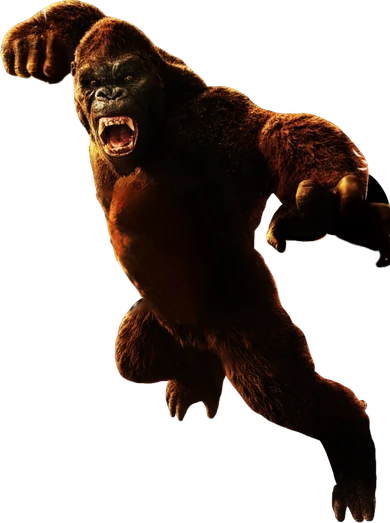 Kong | The Stuingtion And Hiatt Grey Cinematic Universe Wiki | Fandom